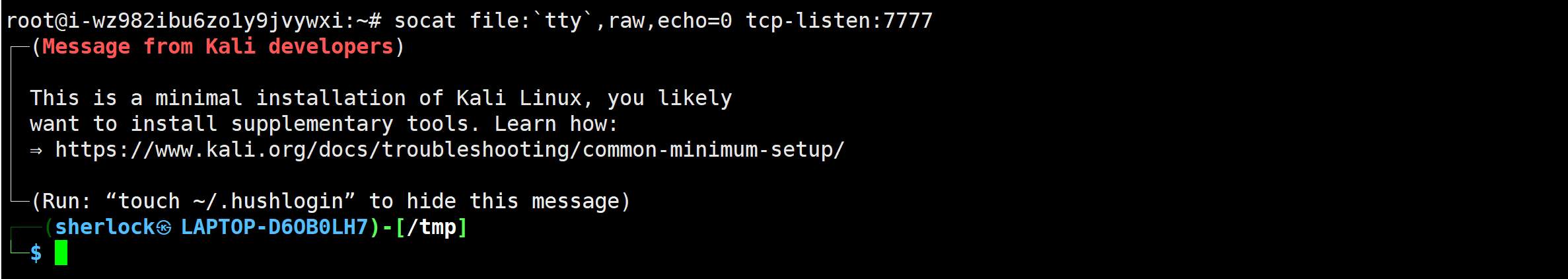 反弹shell升级为完全交互式shell - Sherlock